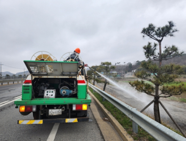 서산시, 가로수 생육환경 개선 '염화칼슘 중화제 살포' 추진